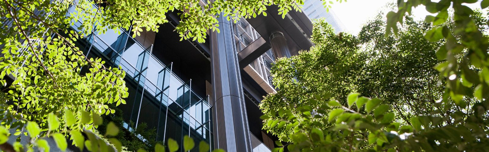 SDDT regime – Is the single capital buffer a game changer? - Forvis Mazars