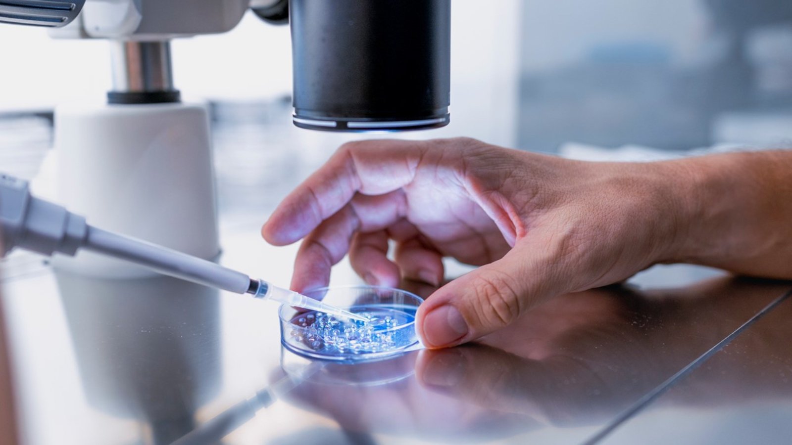 C-suite barometer: life sciences & pharmaceuticals sector view Forvis ...