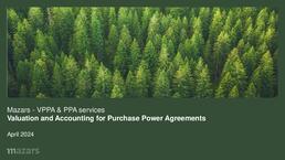 Accompagnement des entreprises dans la Valorisation et la Comptabilisation des PPA et des VPPA ...