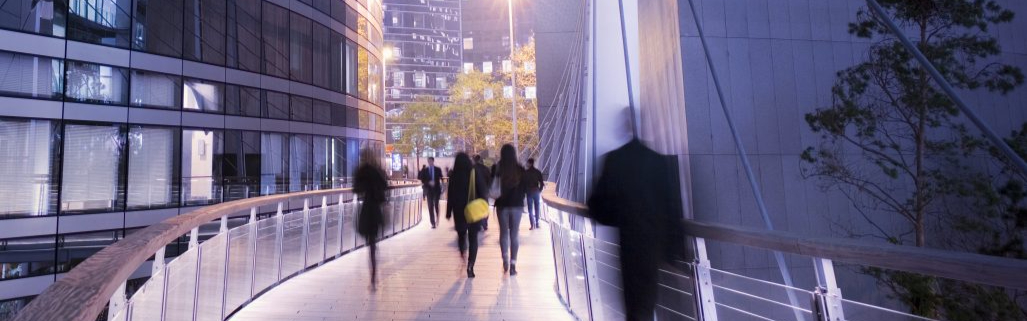 Transfer Pricing and Taxation: An Enduring Issue in Mauritius - Forvis ...