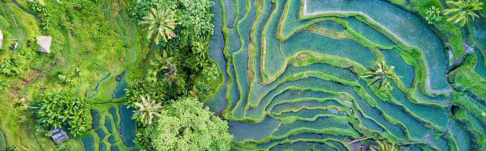 Government announces next steps for UK Sustainability Reporting ...