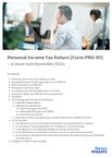 Personal Income Tax Return (Form PND 91) - a closer look November 2024 ...