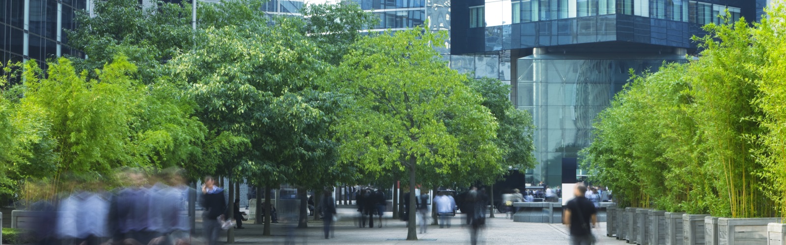 Solvent exit planning: Key requirements for financial services firms ...