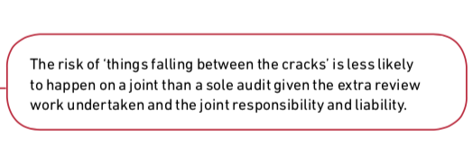 Joint Audit: The Facts - Forvis Mazars - United Kingdom
