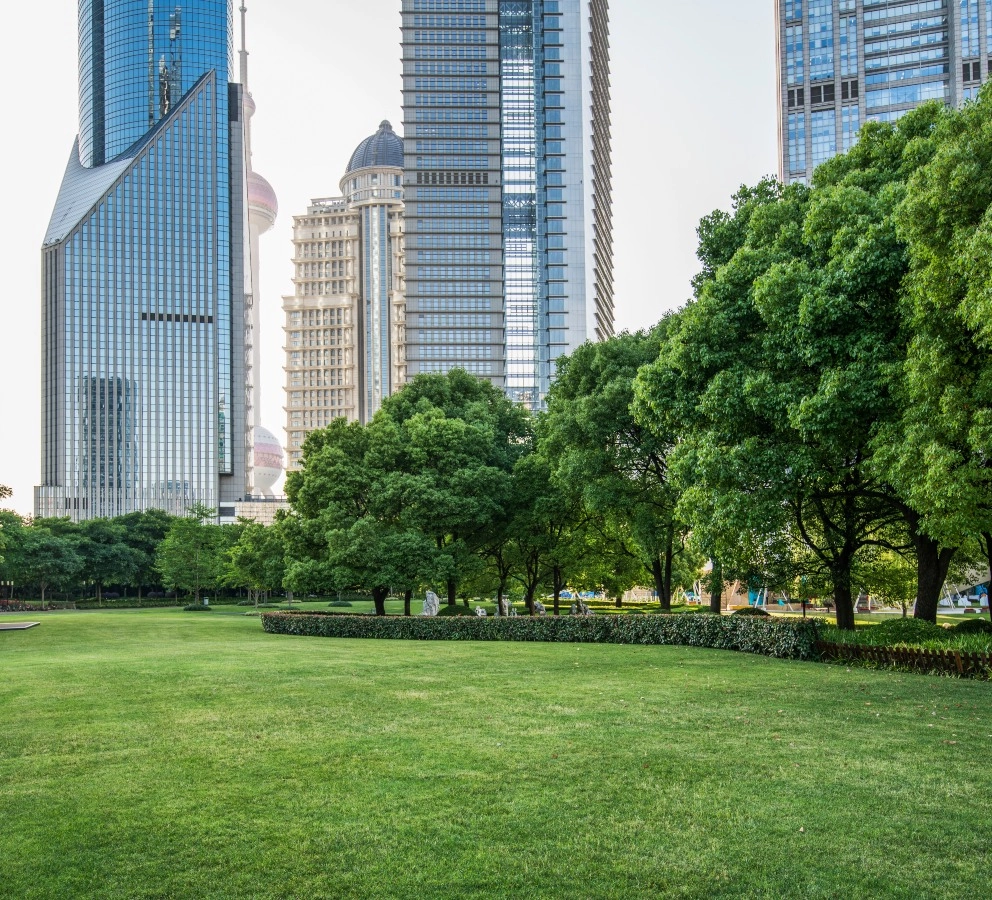 Forvis Mazars - Audit, tax, outsourcing and advisory firm in Japan - Japan