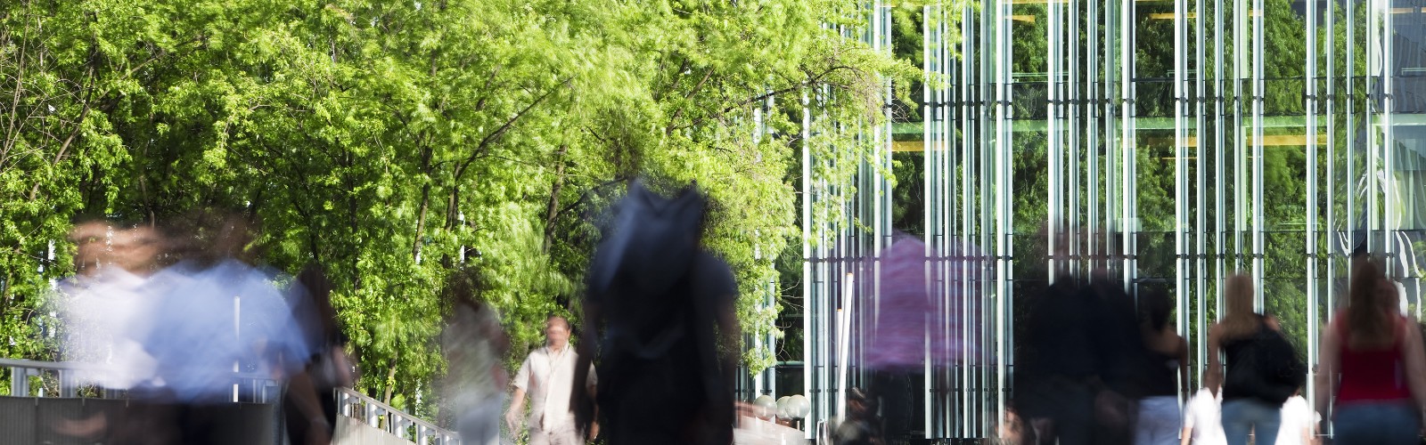 Financial audit - Forvis Mazars - South Africa