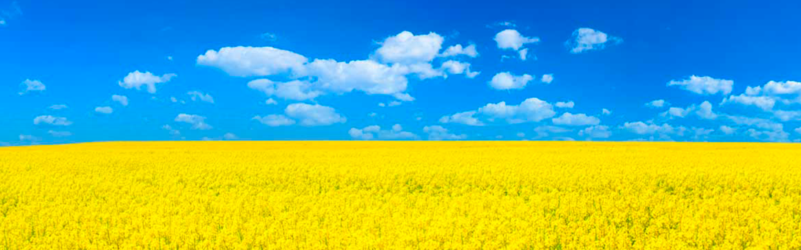 Update on Mazars position in Russia - Forvis Mazars - Ukraine