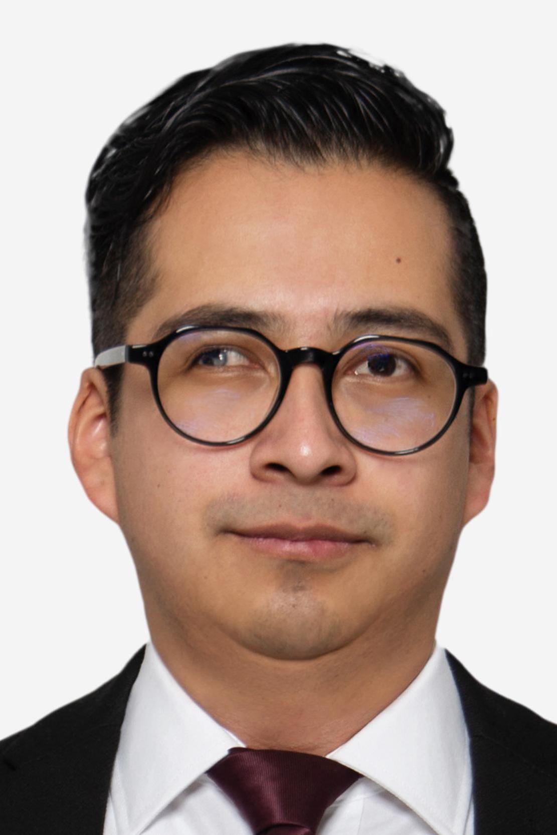 Edgar Mejía Reséndiz - Forvis Mazars - Mexico