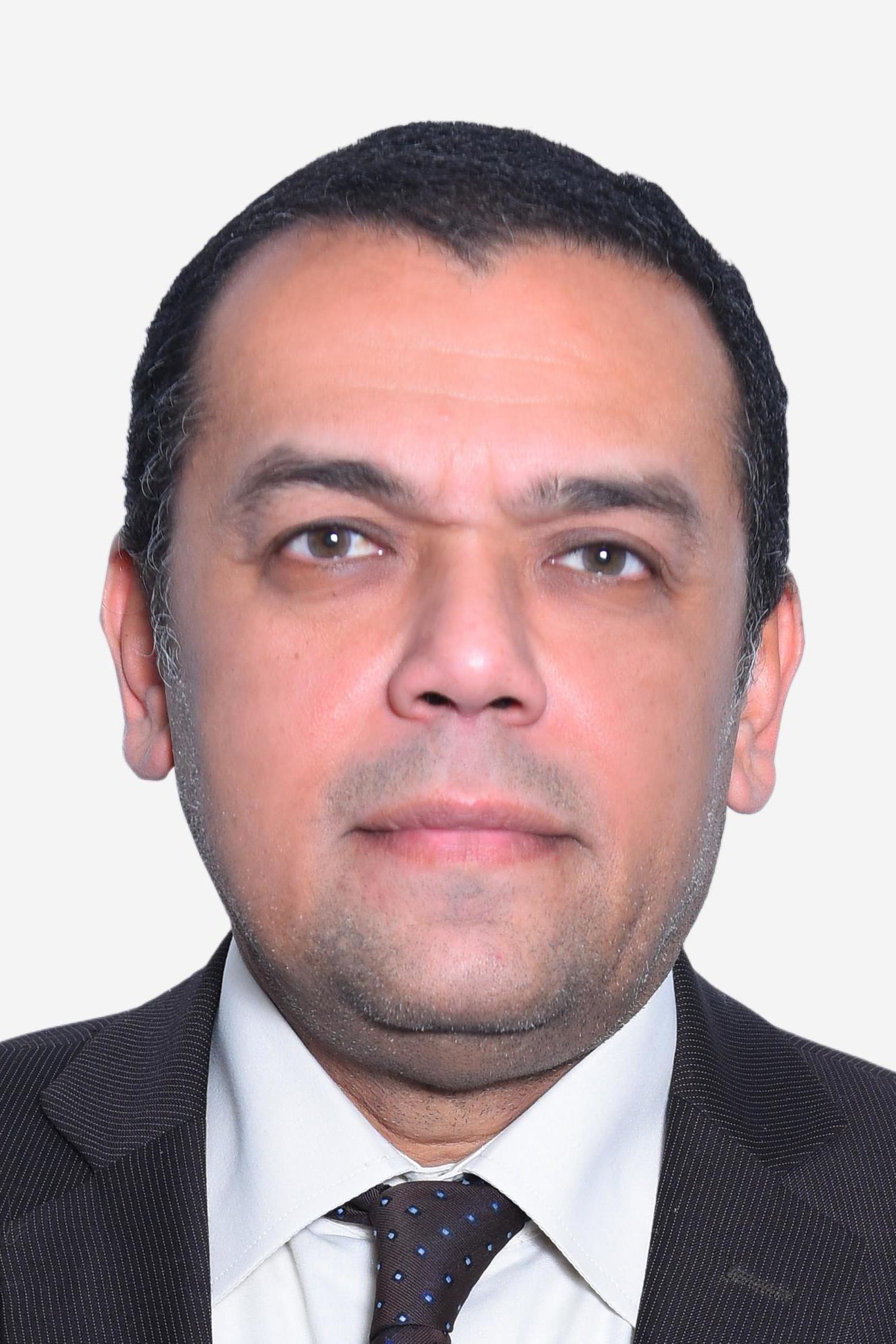 Mohamed Elabrak - Forvis Mazars - Egypt