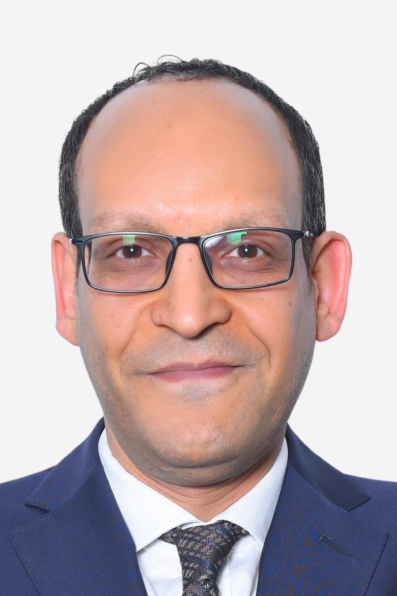 Mokhles AbdelRahman - Forvis Mazars - Egypt
