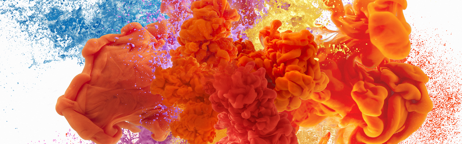 Mazars in Australia celebrates its expansion - Forvis Mazars - Australia