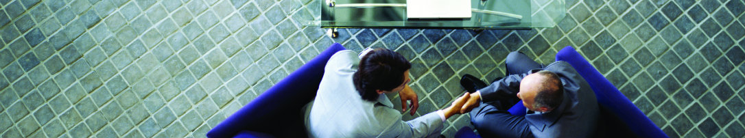 What you need to know about joint audit - Forvis Mazars - Belgium