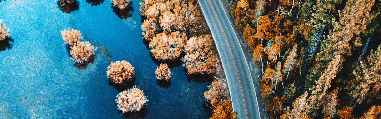 Acting now for what’s next: 2021/2022 annual report - Forvis Mazars - China