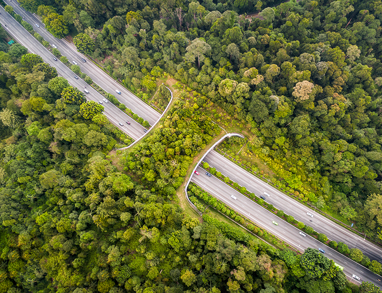 APAC C-suite barometer: outlook 2023 - Forvis Mazars - China