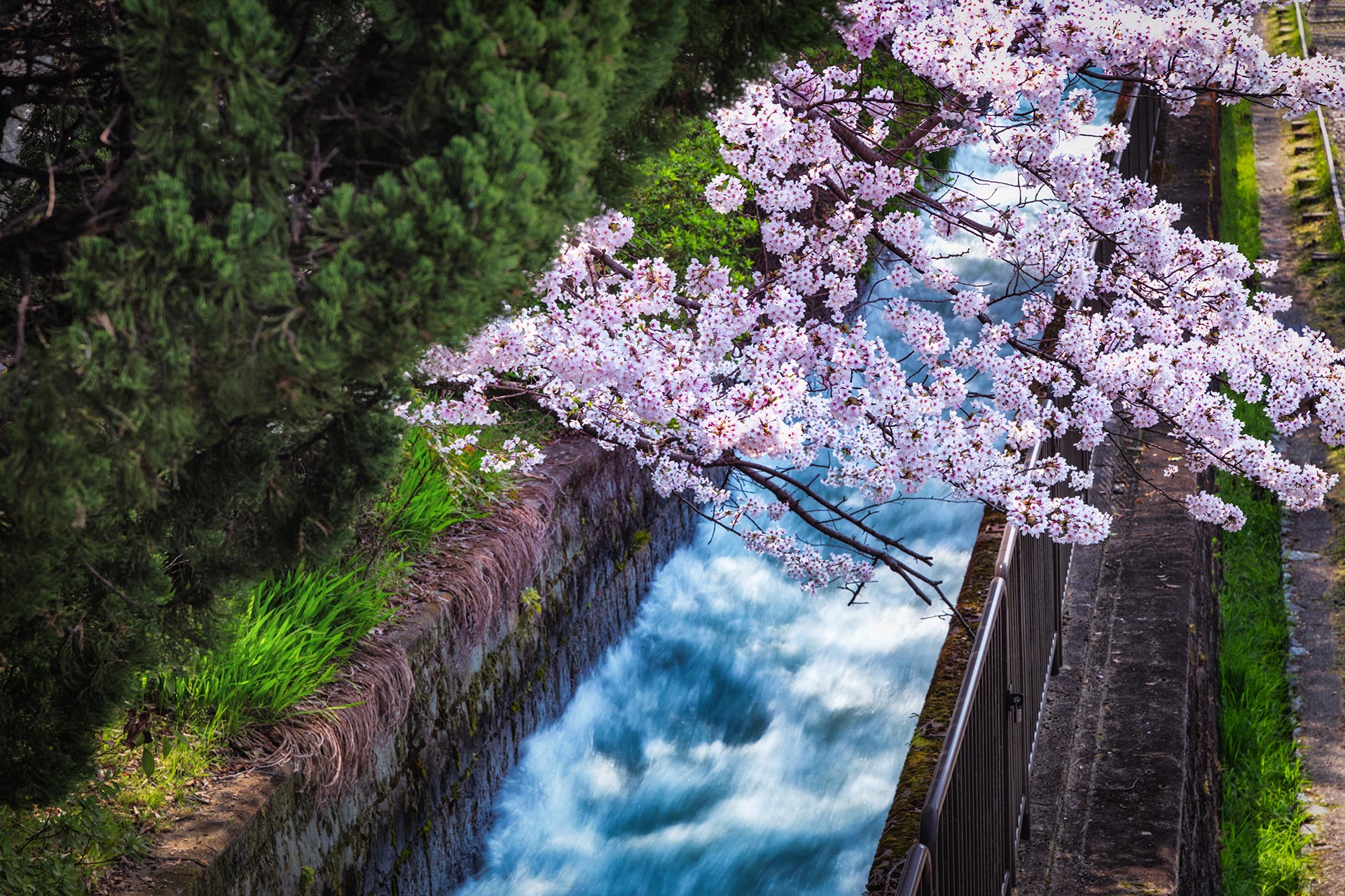 Mazars 2022 China International Import Expo events wrapped successfully ...