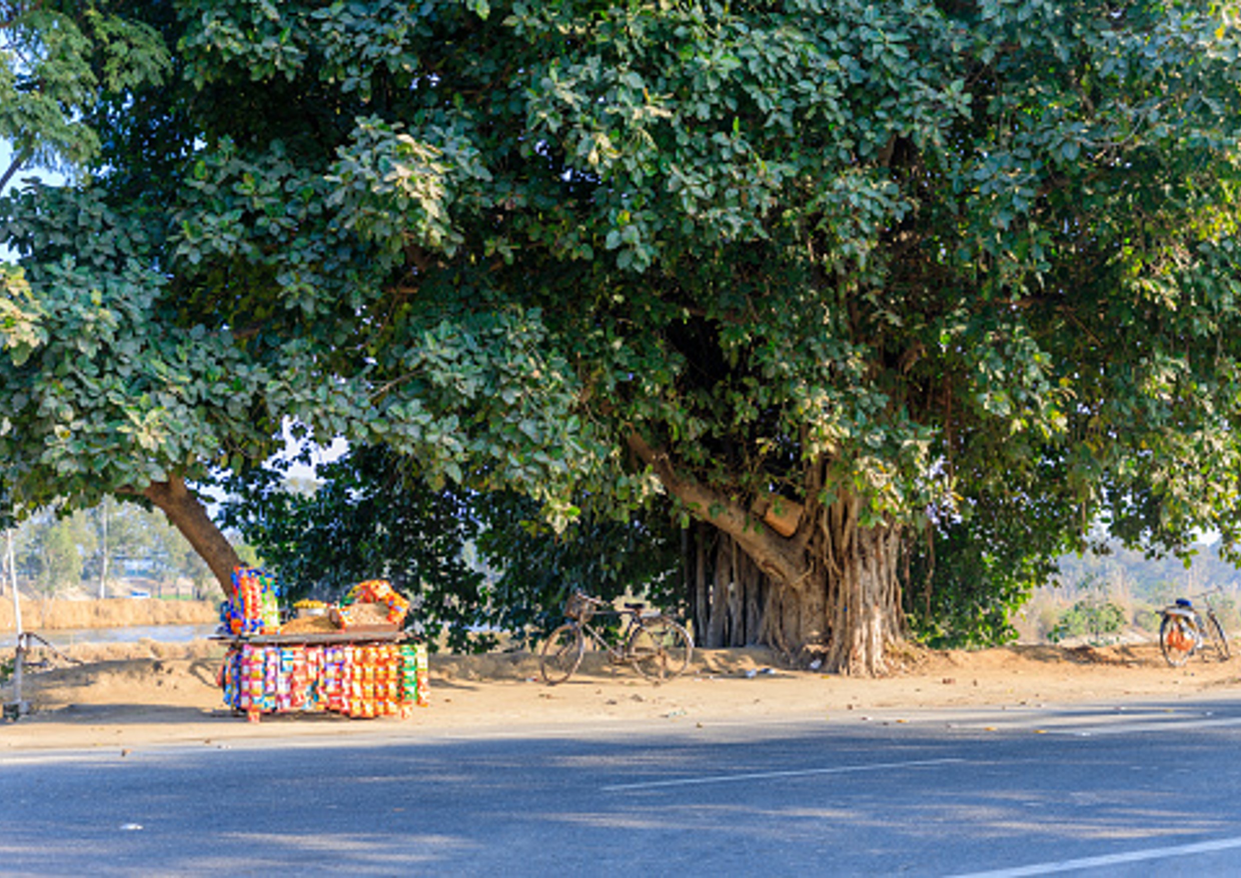 Flourishing FMCG across rural India - Forvis Mazars