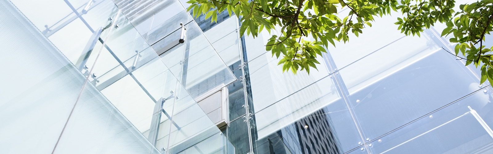 CBI updated regulations leave core IAF requirements intact - Forvis Mazars