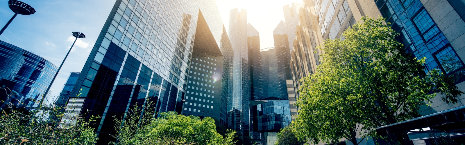 Sustainable finance policy tracker - Forvis Mazars - Japan