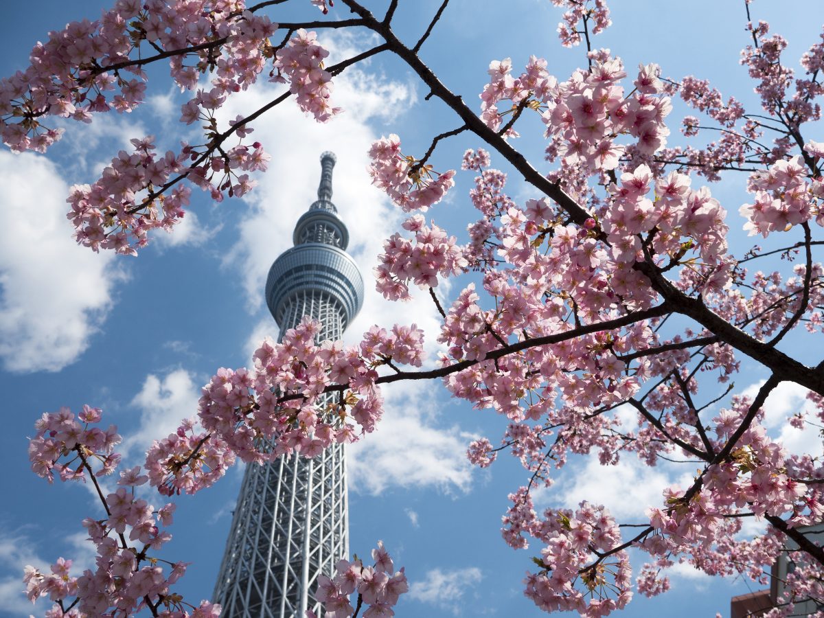 Forvis Mazars - Audit, tax, outsourcing and advisory firm in Japan ...