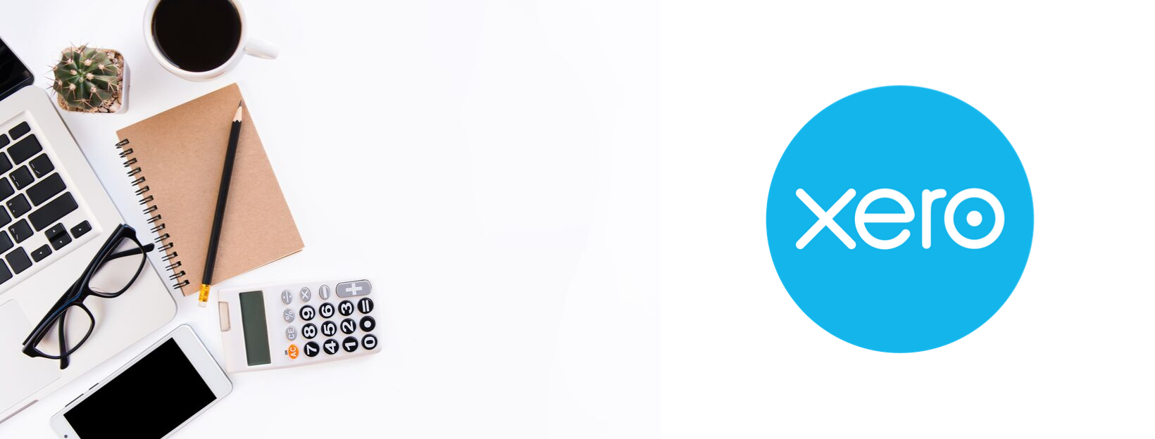 会計ソフト「Xero」 - Forvis Mazars in Japan - Tokyo - Forvis Mazars - 日本