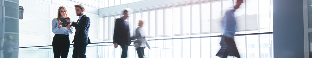 A Guide to Joint Audit - Forvis Mazars