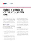 Control y Gestión de Activos de TI (ITAM) - Forvis Mazars - Mexico