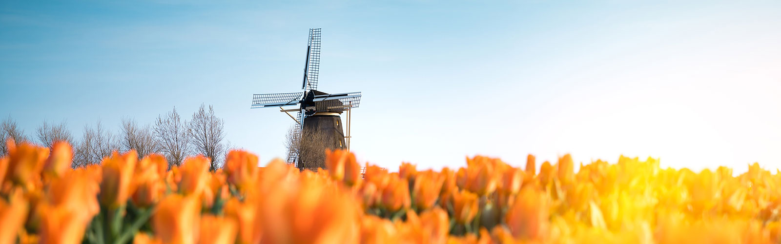 Forvis Mazars in the Netherlands - Forvis Mazars - Netherlands