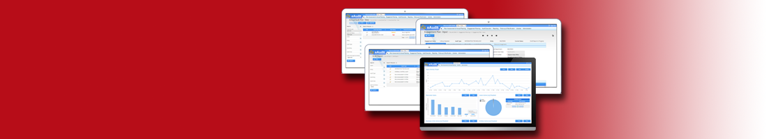 eAudit Website - Forvis Mazars - Pakistan