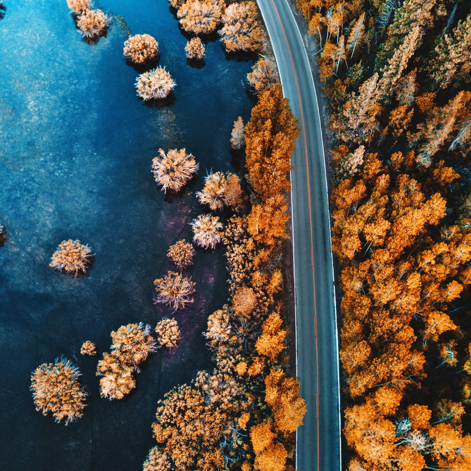 Acting now for what’s next Forvis Mazars Tax Services in the ...