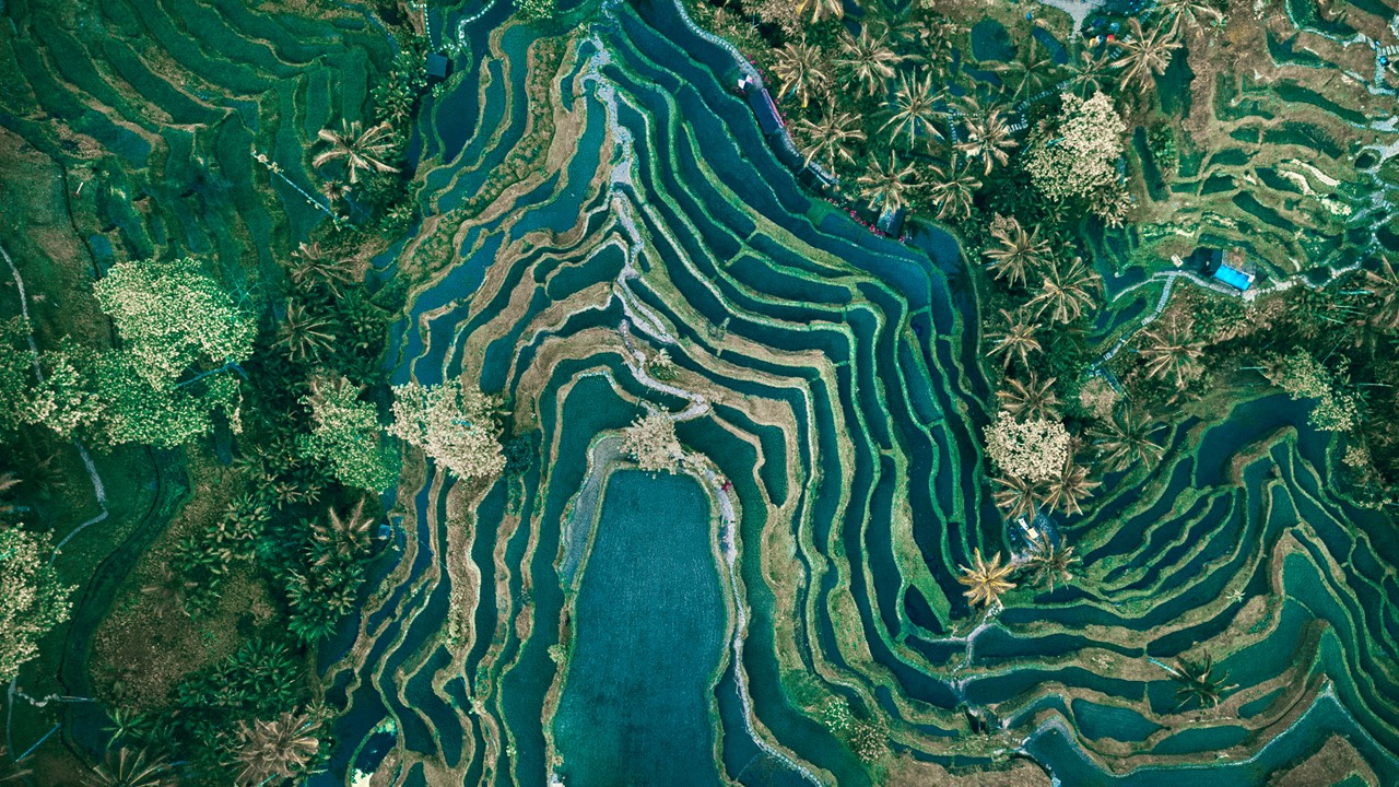 Mazars Philippines C-suite barometer 2021 , Mazars accounting firm in ...