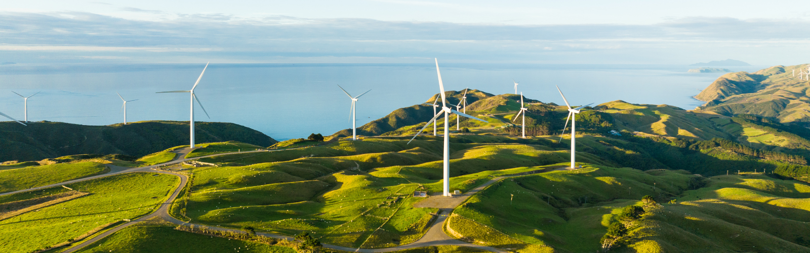 Webinar: Renewable Energy Sector & Valuation Trends in CEE - Forvis Mazars - Poland