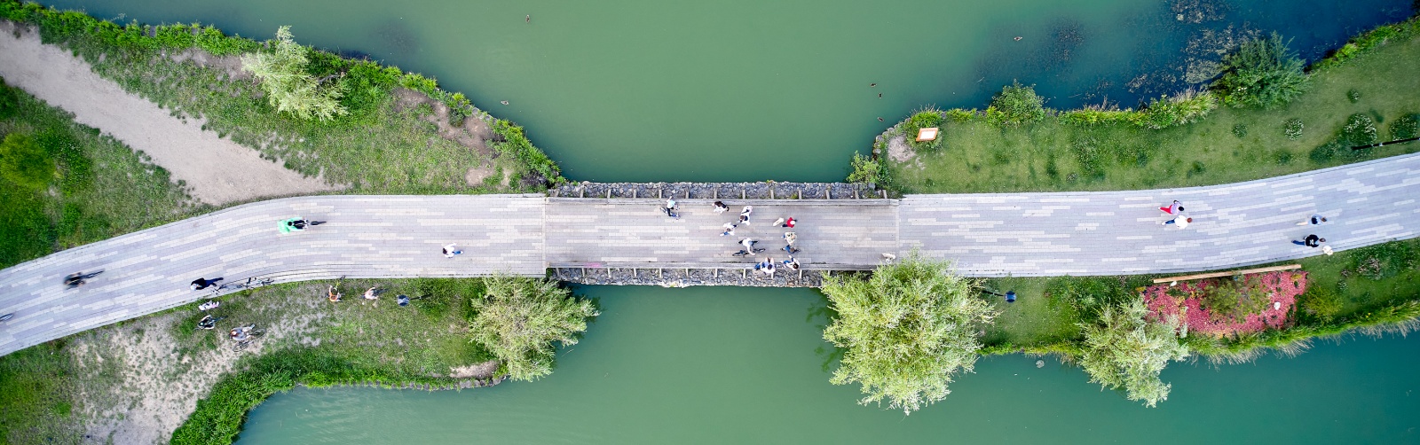 OECD Pillar 2 GloBE: Preparing for a different tax future - Forvis ...