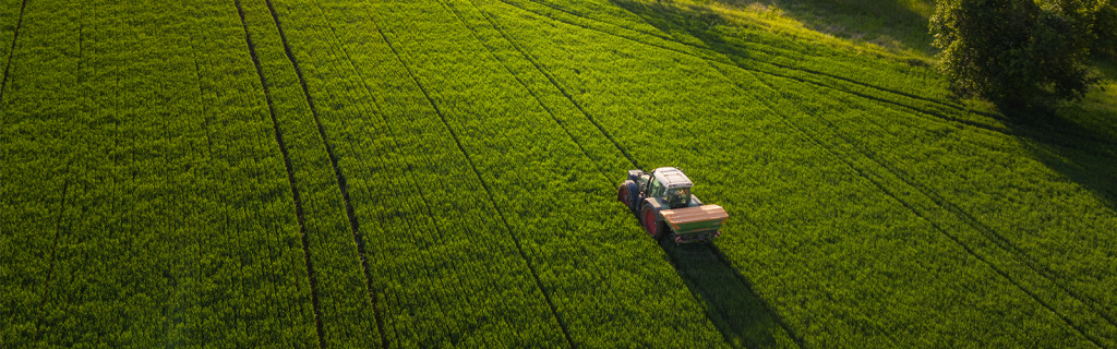 Navigating an evolving climate disclosure landscape - Forvis Mazars