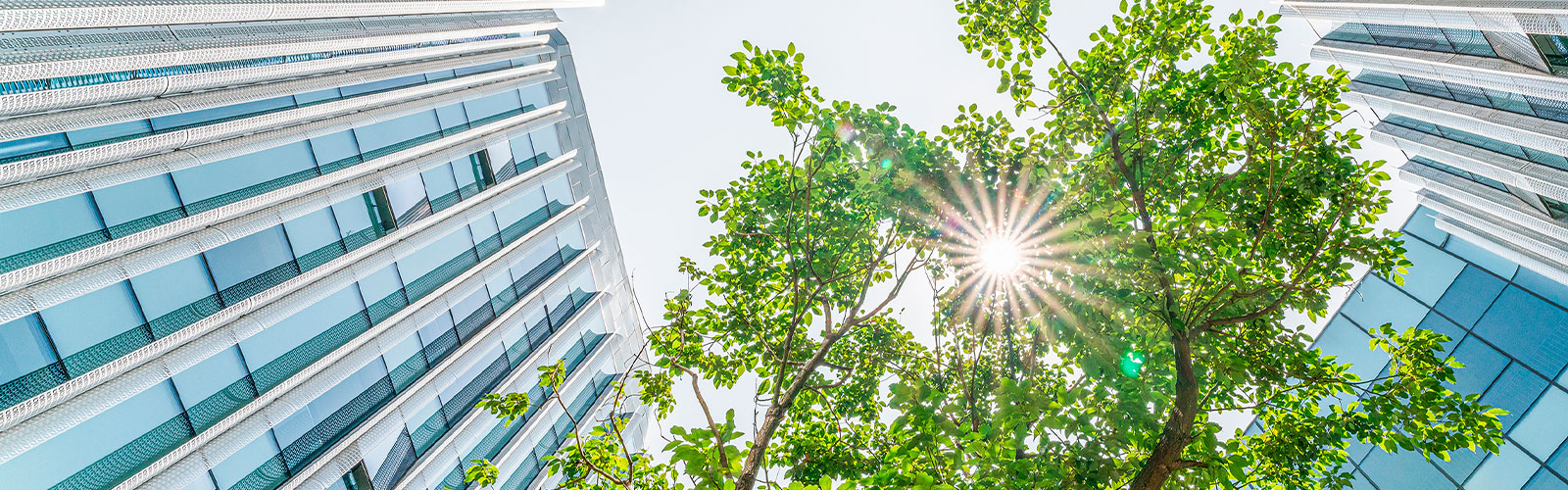 InfoMazars N° 06 - Decreto de exoneración del pago del IGTF - Forvis Mazars