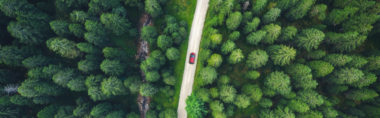 Green Taxonomy regulation for the automotive sector - Forvis Mazars