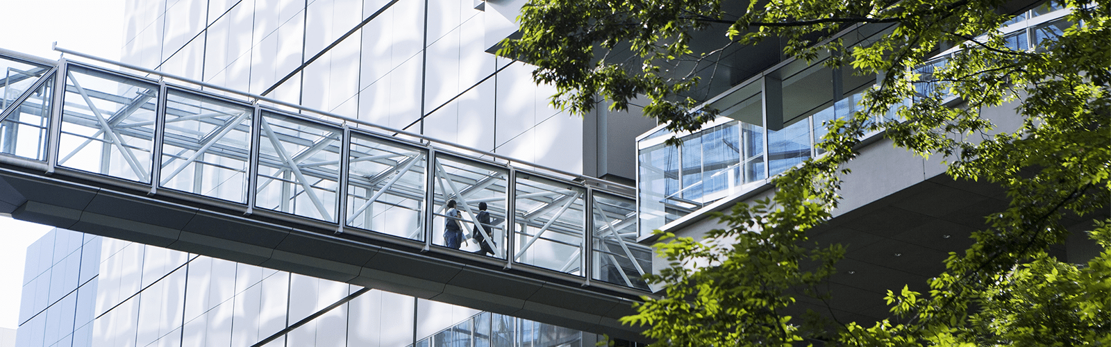 Tax Control Framework - Forvis Mazars - Japan